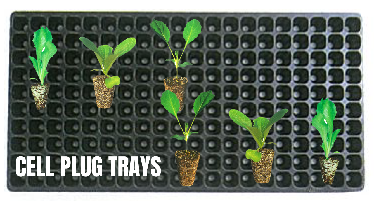 Cell Plug Tray Standard for Vegetable Transplanters